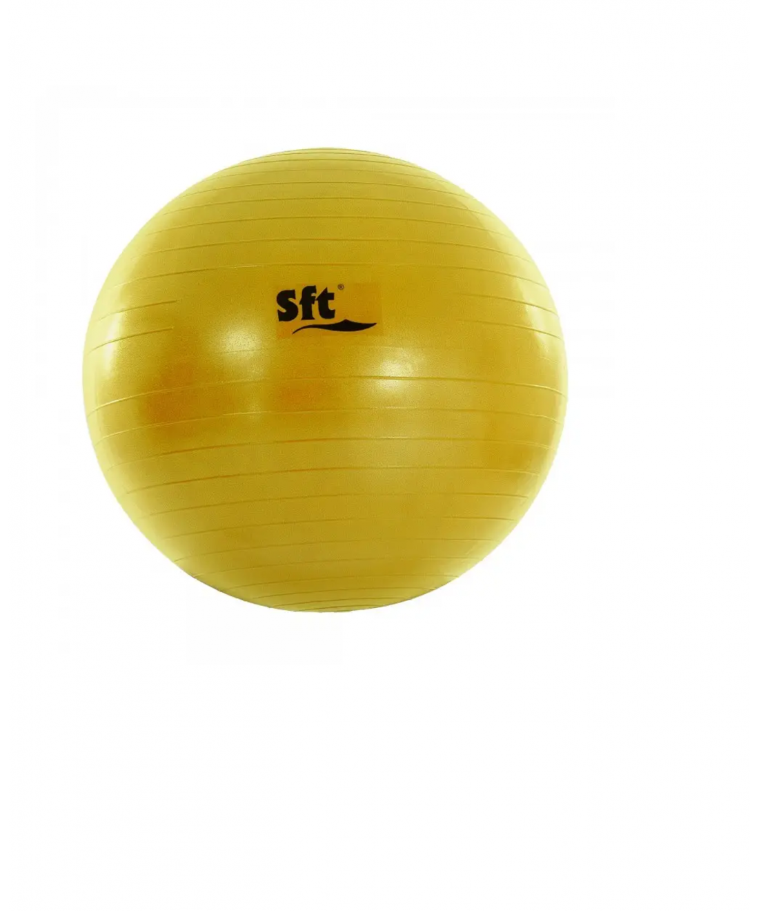GYM BALL FITNESS 100CM